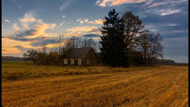 Генрикас Радаускас  Собачьи пересуды #литовскаялирика #стихиородине