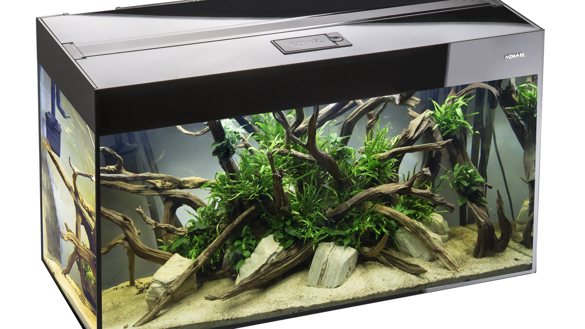 Аквариум для начинающих Подмены воды в аквариуме Уход за аквариумом.