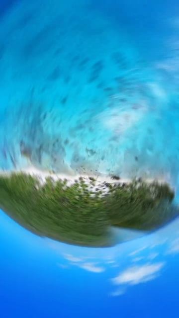 Карибская свадьба