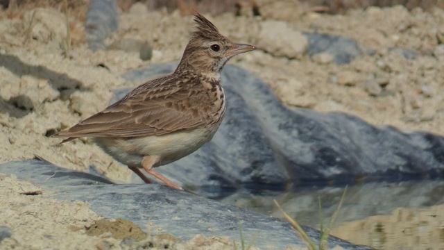 12160489_3840_2160_24fps