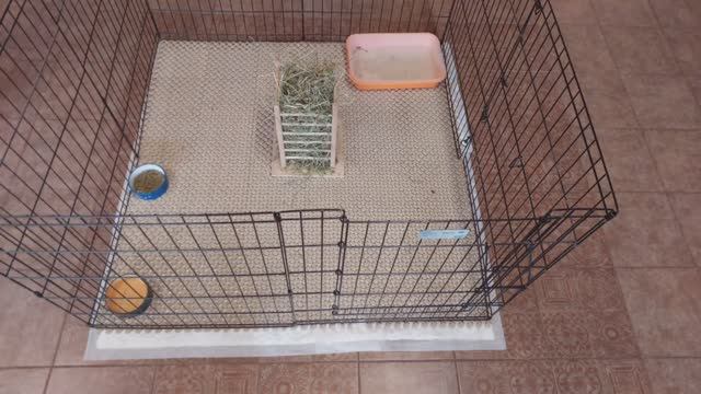 Собираем вольер для кролика