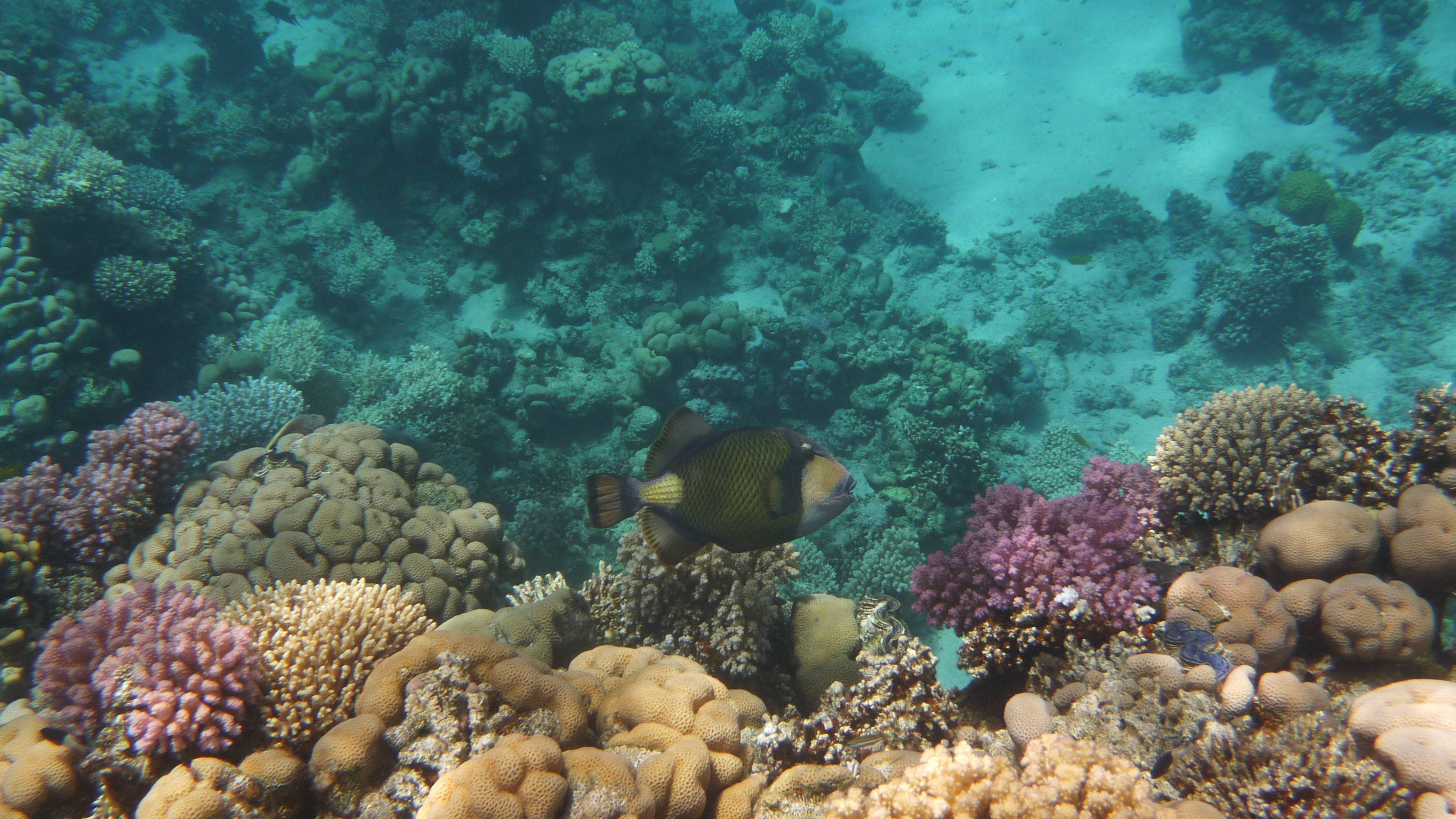 Акватория отеля Конкорд. Ч.1.