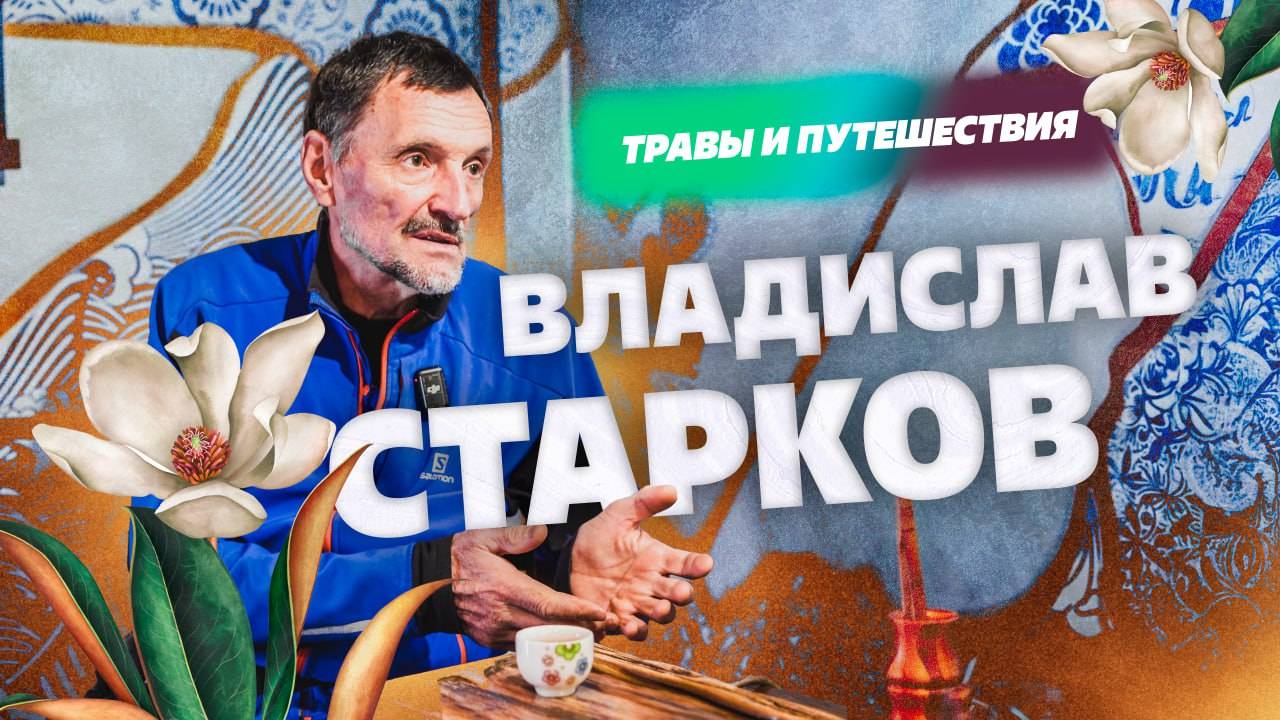 Владислав Старков. Работа мечты - доход на травах и экспедициях.