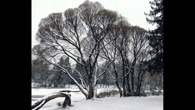 А  Пушкин  В тот год осенняя погода    Из романа Евгений Онегин #стихиозиме #поэты19века
