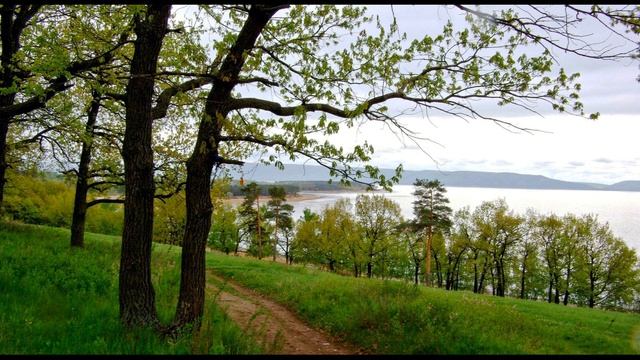 С  Дрожжин  Родине #стихиородине #поэты19века #поэты20века