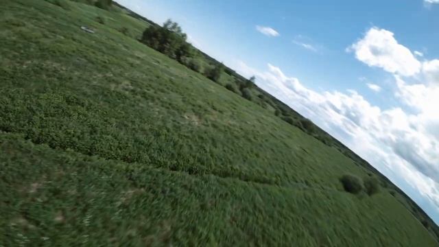 На грузовичке за княженикой.