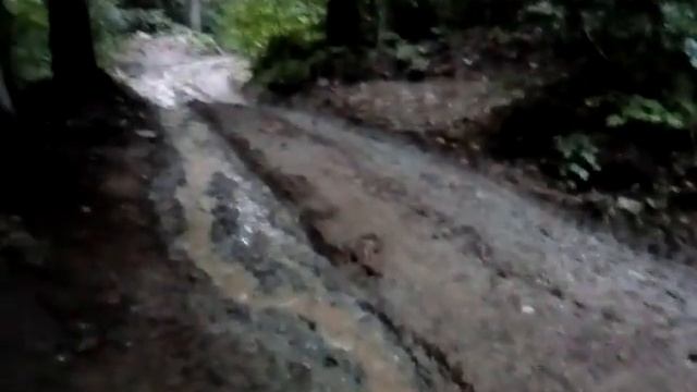 В горах Северного Кавказа. В долине реки Санчаро.