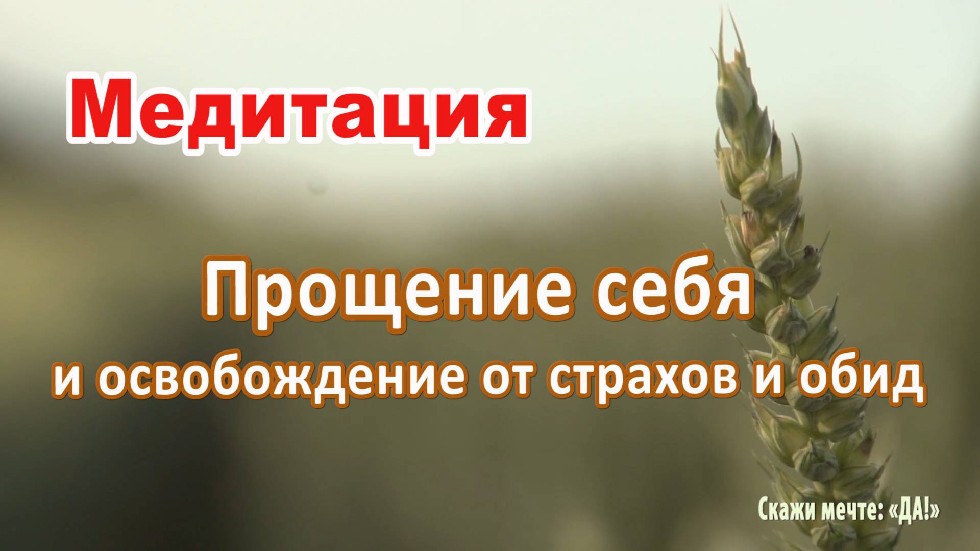 Медитация - Прощения себя и освобождение от страхов и обид