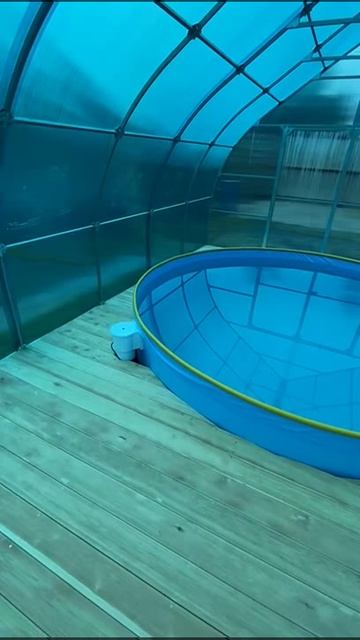 Установка пластикового каркасного бассейна в теплице от компании  «БассейныИркутск.рф»