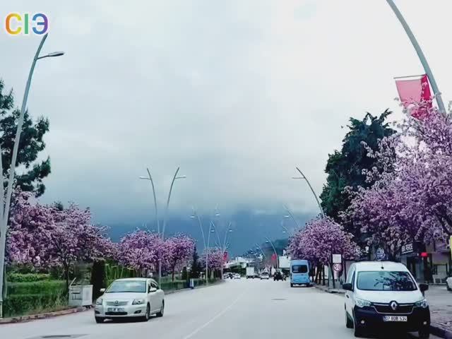 Кемер. Турецкие каникулы_май 23.mp4