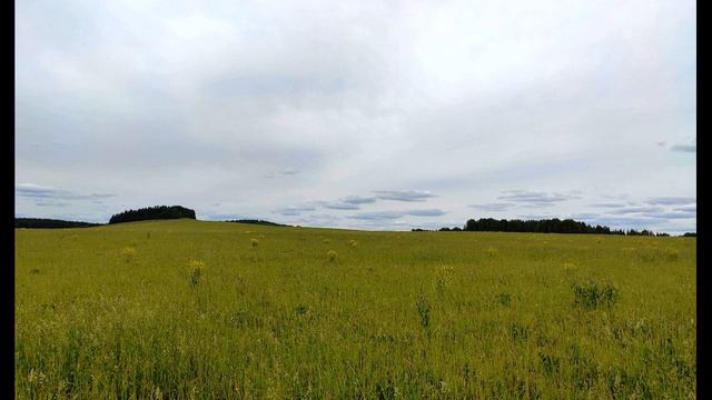 "Золотое слово" Святослава  Отрывок из "Слова о полку Игореве" #древнерусскаялитература