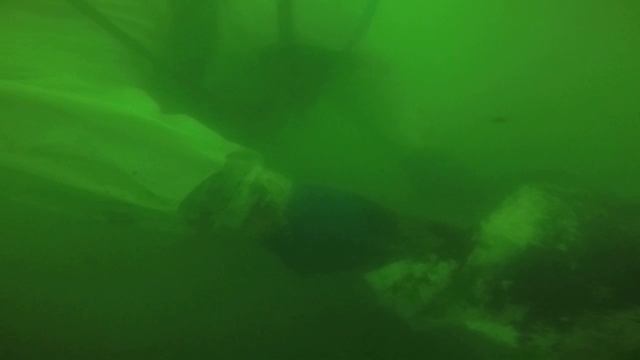 Так выглядит работа водолазов по сбору мазута под водой в Черном море  у Анапы