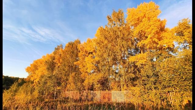 В Тушнова  Если б не было учителя #стихидлядетей#поэты20века#стихиобучителе