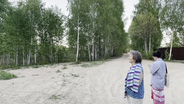 Соловьи в СНТ Тимер