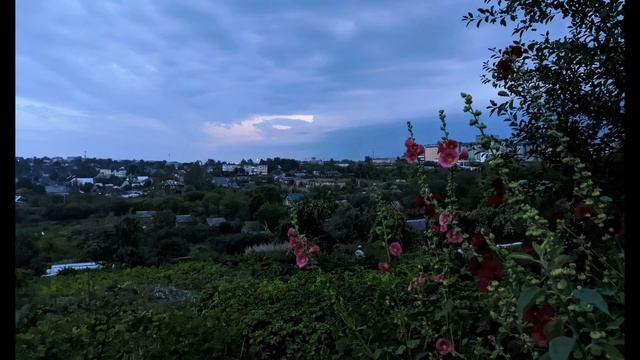 В Шекспир. Сонет 21   Не соревнуюсь я с творцами од #стихиолюбви#зарубежнаялитература