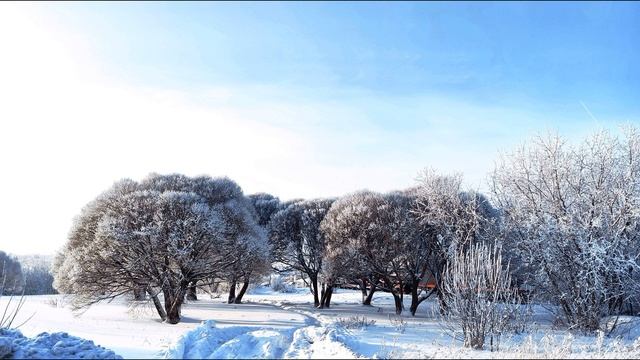 Ф  Тютчев  Чародейкою зимою #поэты19века #учащимся2класса #стихиозиме