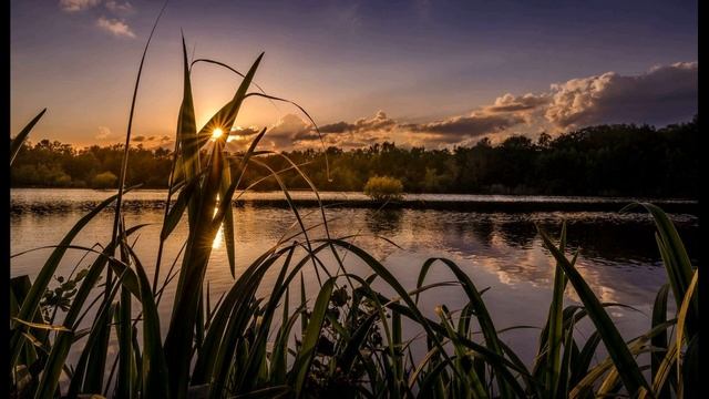 Ф  Тютчев  Певучесть есть в морских волнах #философскаялирика #поэты19века