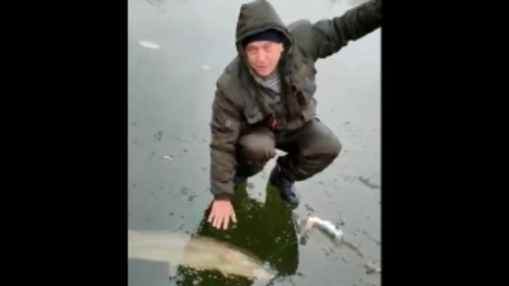 Рыба моя, я тебя вижу. Волхов мост.
14 кг.