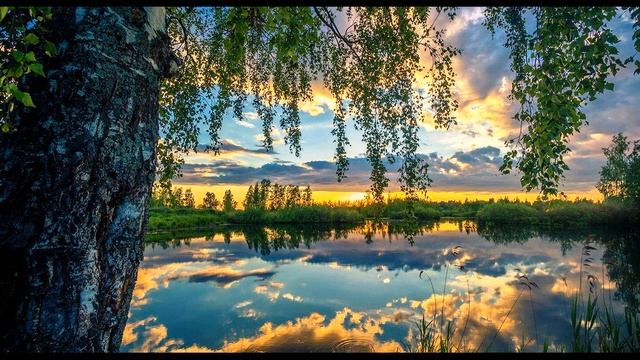 А  Фет  Одним толчком согнать ладью живую #философскаялирика #стихиопоэте #поэты19века