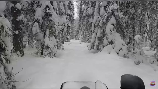 Тайга. «Елена Ваенга»-«Тайга».