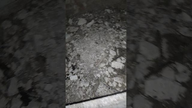 Кролики. Нора для выведения молодняка. 
2021-12-08 00-47-26