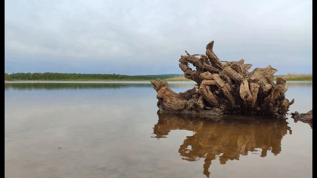 А Н  Островский  "Жестокие нравы, сударь "   Отрывок из драмы "Гроза" #писатели19века