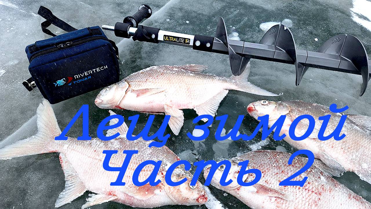 Лещ зимой часть 2. Ловля леща на реке со льда
