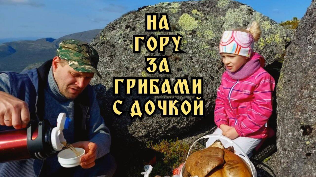 Хибины. Поход на гору. Много грибов.