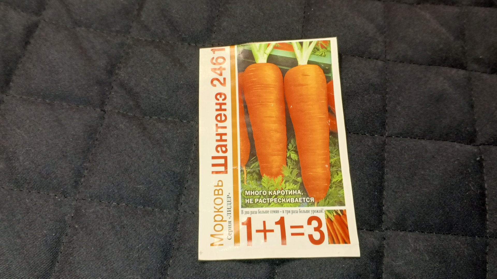 Посадка моркови 22 января 2025г.