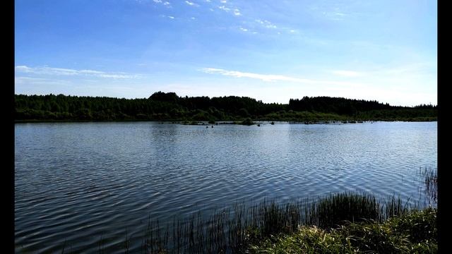 Садко  Былина   (в сокращении)  #русскийфольклор