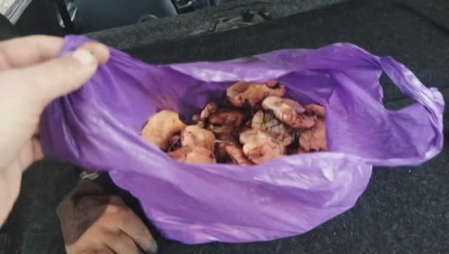 Копаем металл и собираю грибы.