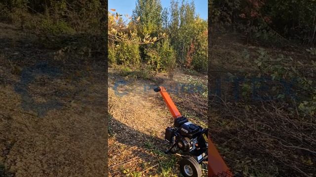 Бюджетный садовый бензиновый измельчитель веток GBK-70 обзор. РУБИТЕХ