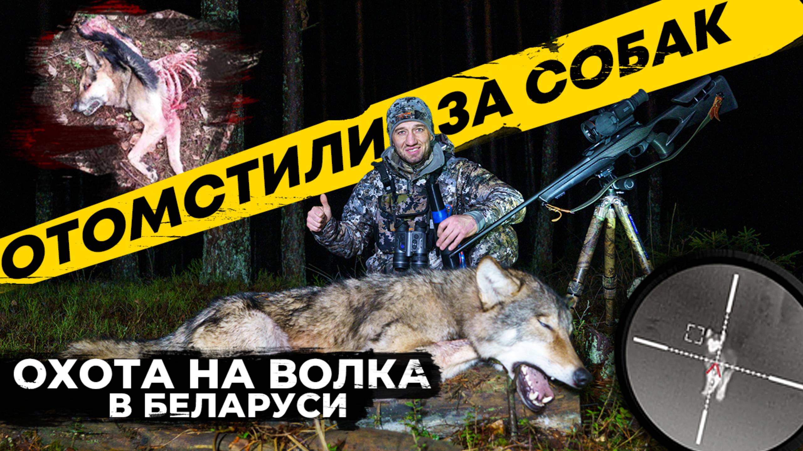 Волки приходят в дома и съедают собак! ОХОТА НА ВОЛКА на ВАБУ