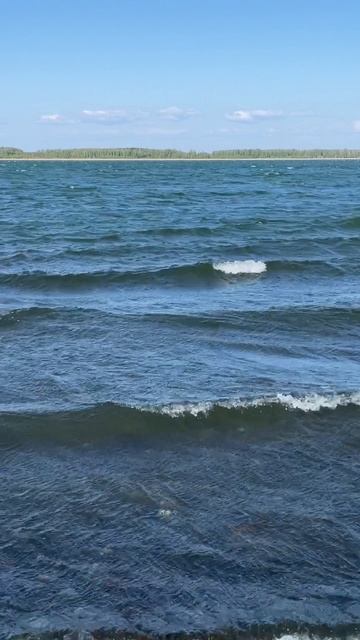 Озеро Курги 2024-05-11 #озеро #курги #челябинскаяобласть