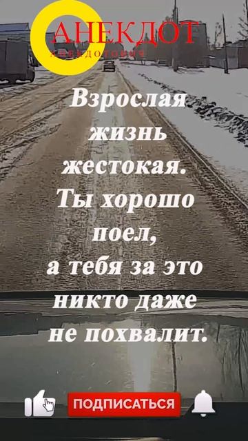 Взрослая жизнь