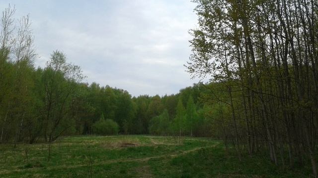 Холодная весна. Композ. Ю. Кучмаева (создано 04.06.2022 г.)