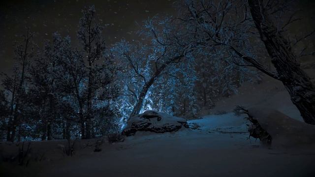 Зимняя сказочная снежная буря в лесу и звуки вьюги со снегом