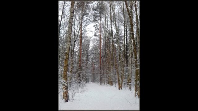 Снежок. Композ., аранж., автор фото Ю. Кучмаева