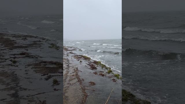 Озеро Курги 2024-05-10 #озеро #курги #челябинскаяобласть