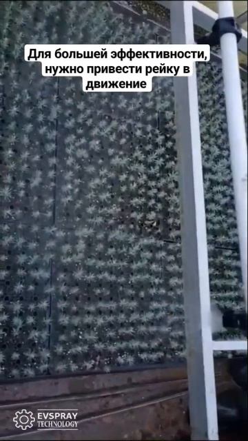 Полив саженцев при помощи полноконусных форсунок #nozzle #увлажнение #туман #форсунки #полныйконус