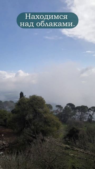 КАК МЕСТА СИЛЫ ПОМОГАЮТ ПОЧУВСТВОВАТЬ ПРЕДНАЗНАЧЕНИЕ? #Shorts