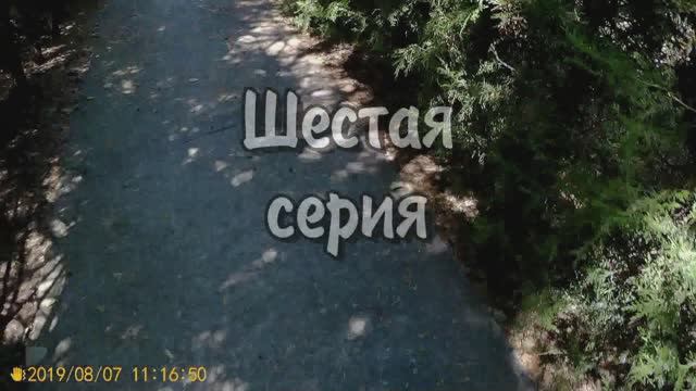 6 серия Крым 2019 Севастополь Кача