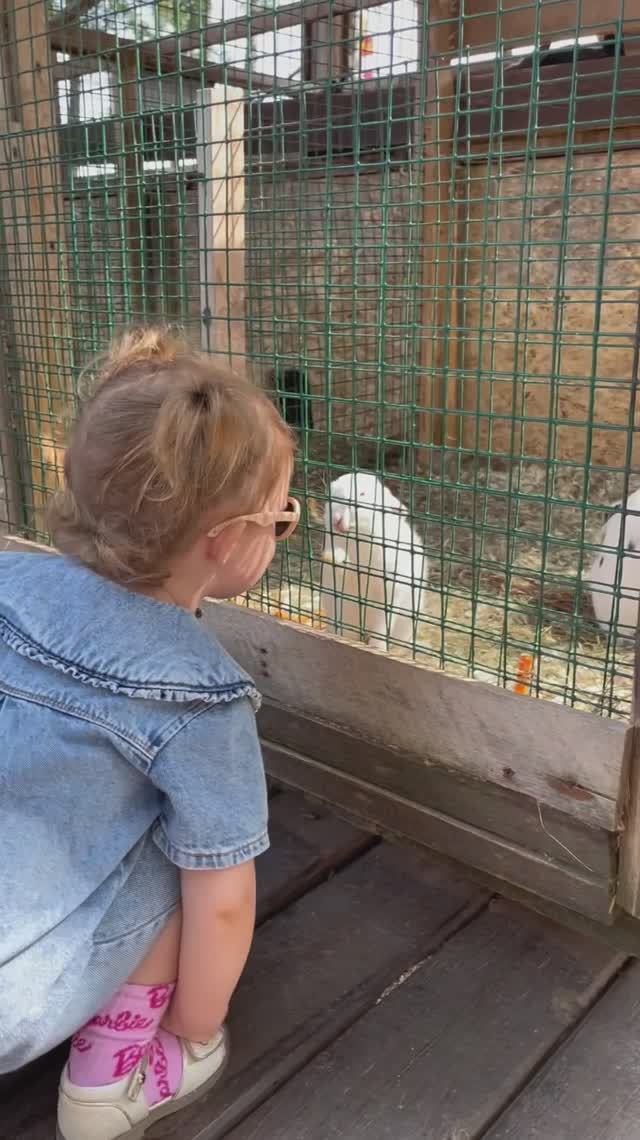 В зоопарке в августе  #2года5месяцев