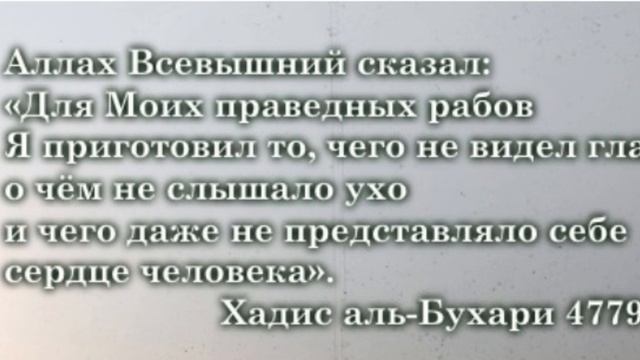 На пути Домой!!