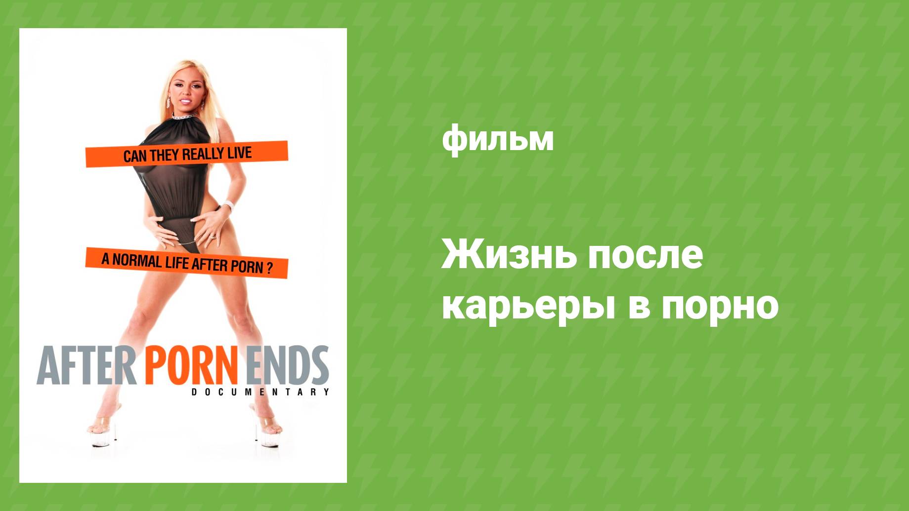 Жизнь после карьеры в порно (документальный фильм, 2012)