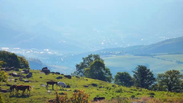 На приволье (электр. версия). Композ., аранж. Ю. Кучмаева