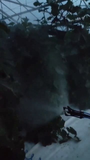 Двухфазные форсунки с наружним перемешиванием, для обработки сельхоз культур #nozzle #сухойтуман