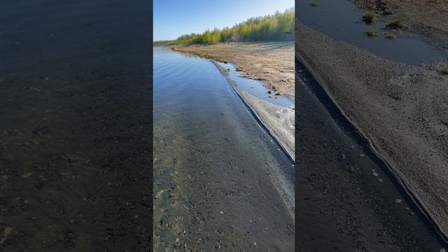 Озеро Курги 2024-04-30 #озеро #курги #челябинскаяобласть