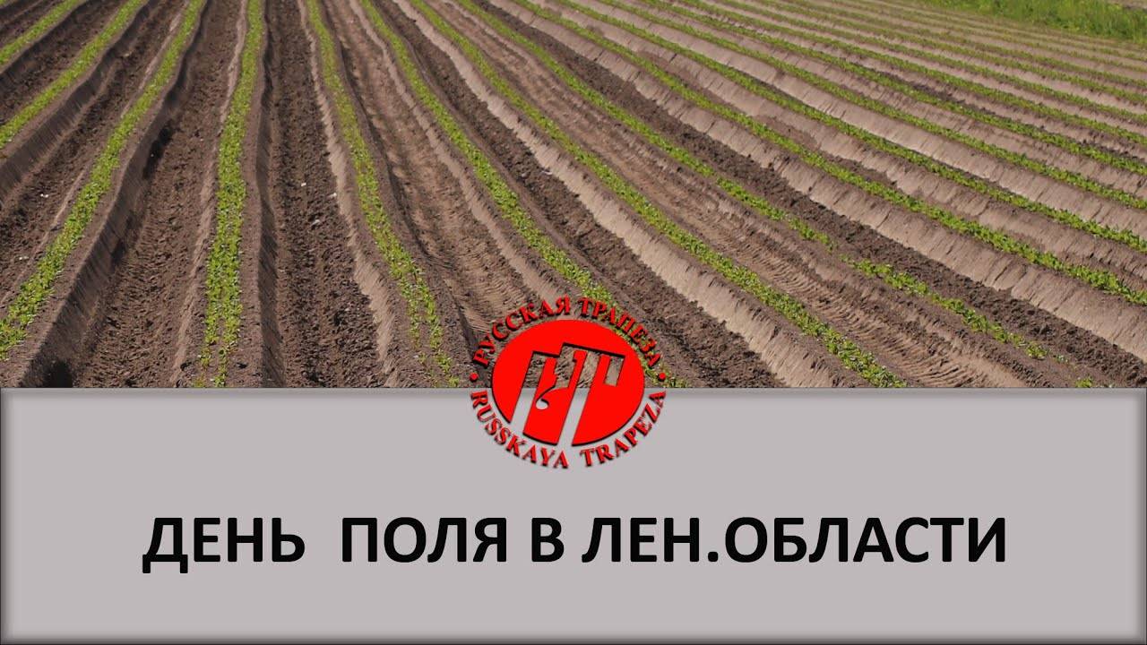 Отзыв о смесителе луговых трав. «День поля Ленинградской области».