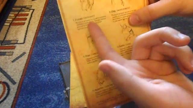 Sacred 2_ Падший Ангел - Коллекционное издание Перезалив